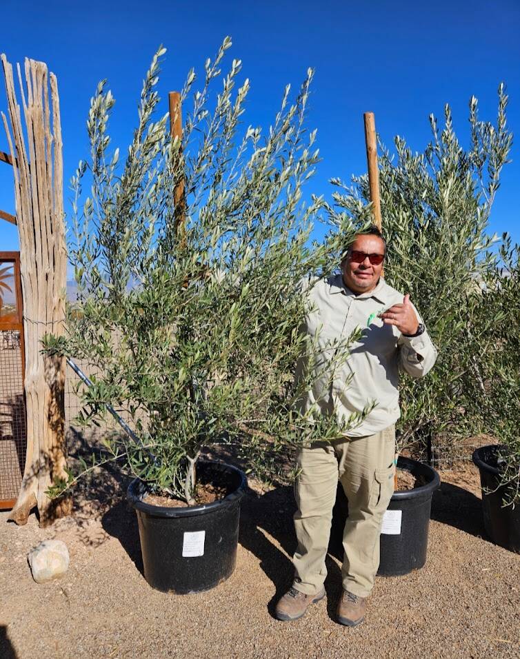 We Deliver and Plant! | Four Arrows Garden